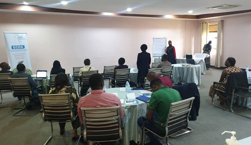 Training and Capacity Building – Sync Consults Limited
